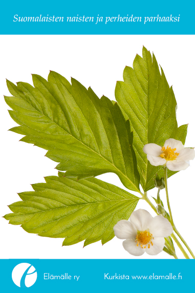 Lähetä e-postikortti - Elämälle